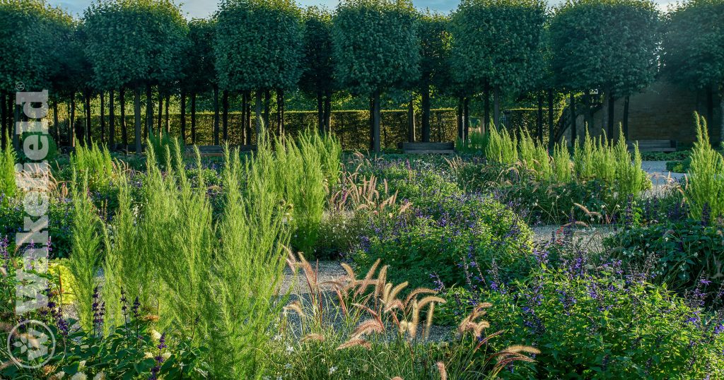 Can Biochar Burn Plants? - Wakefield BioChar