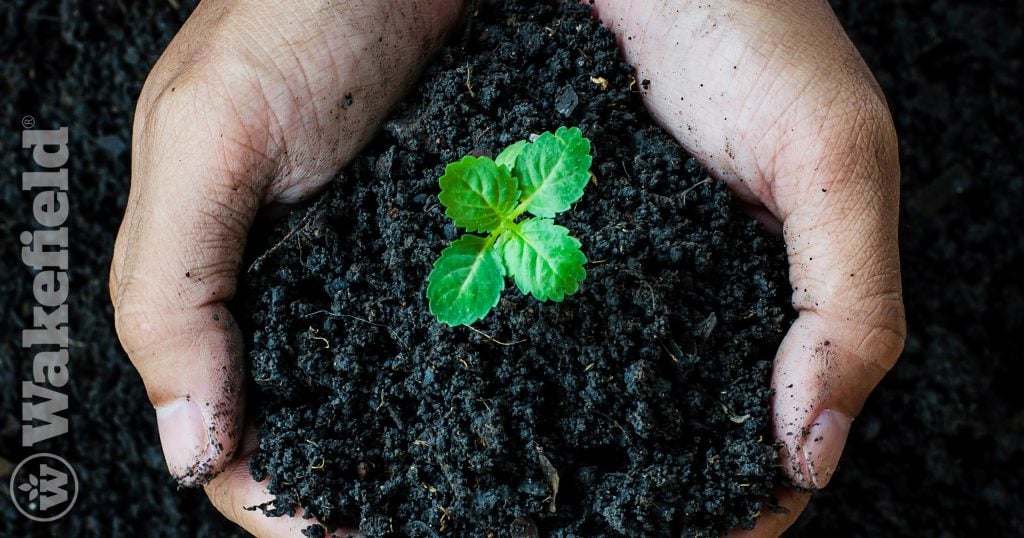 Is Biochar a Fertilizer? - Wakefield BioChar