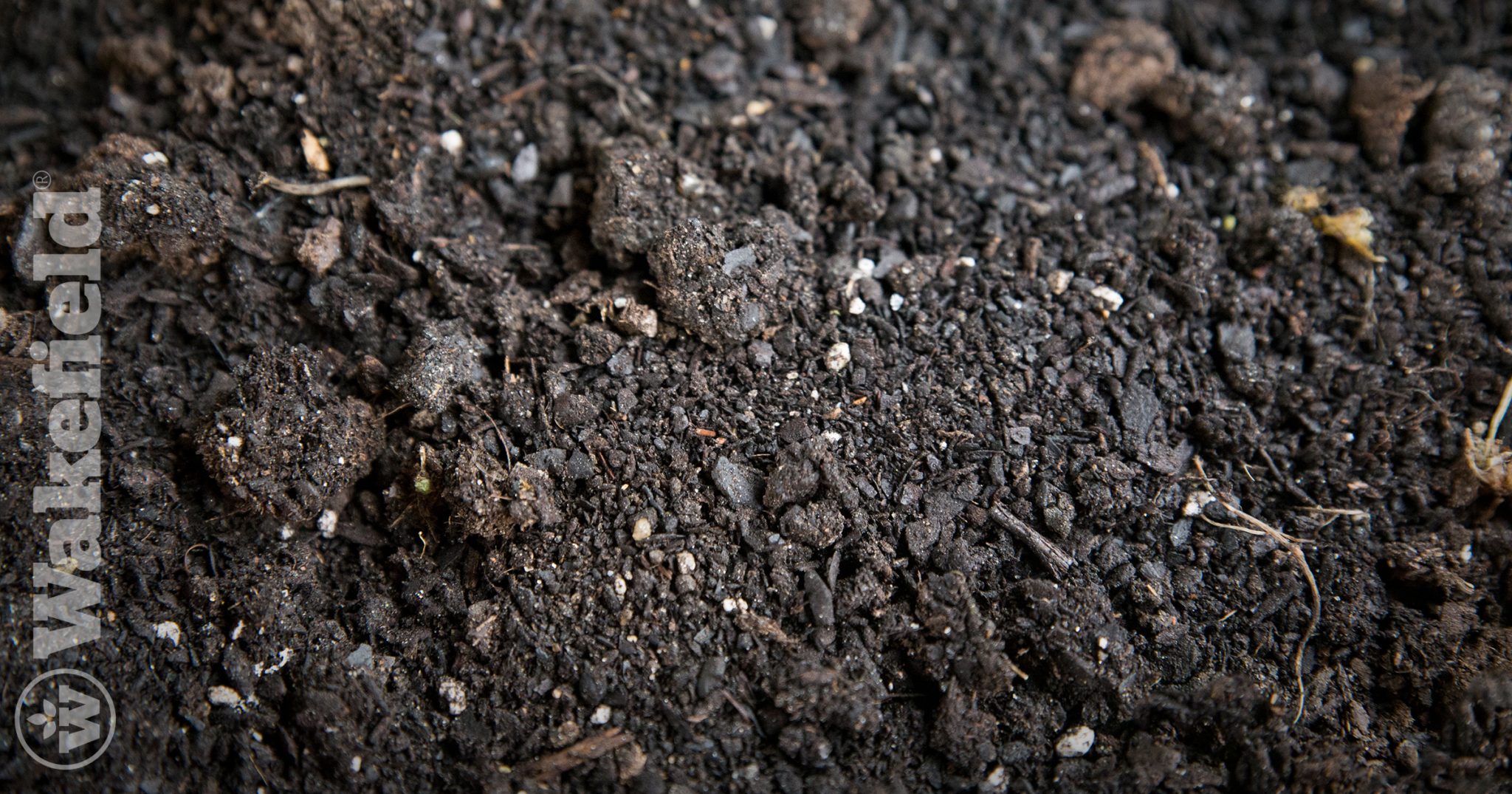 What Is Terra Preta? - Wakefield BioChar