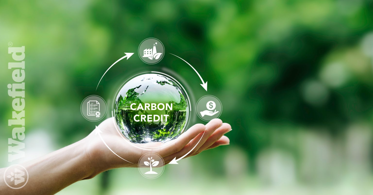 Understanding Biochar Carbon Credits - Wakefield BioChar