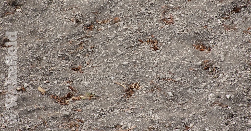 Chalky Soil Conditions - Wakefield BioChar