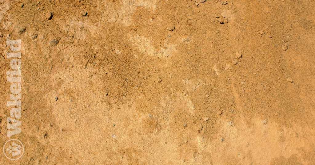 Sandy Soil Conditions - Wakefield BioChar