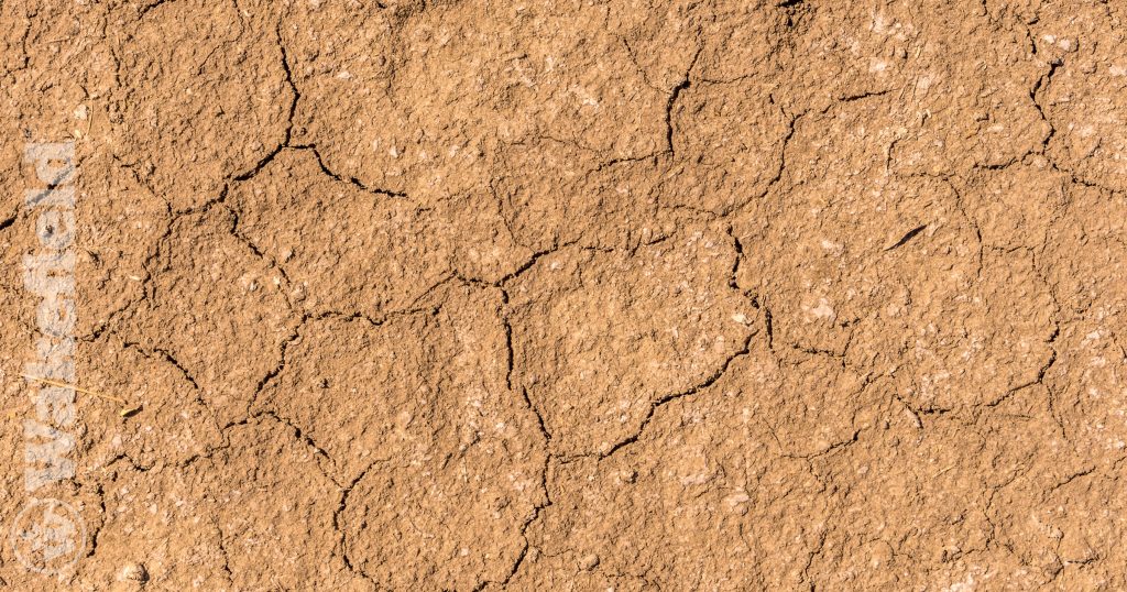 Silty Soil Conditions - Wakefield BioChar