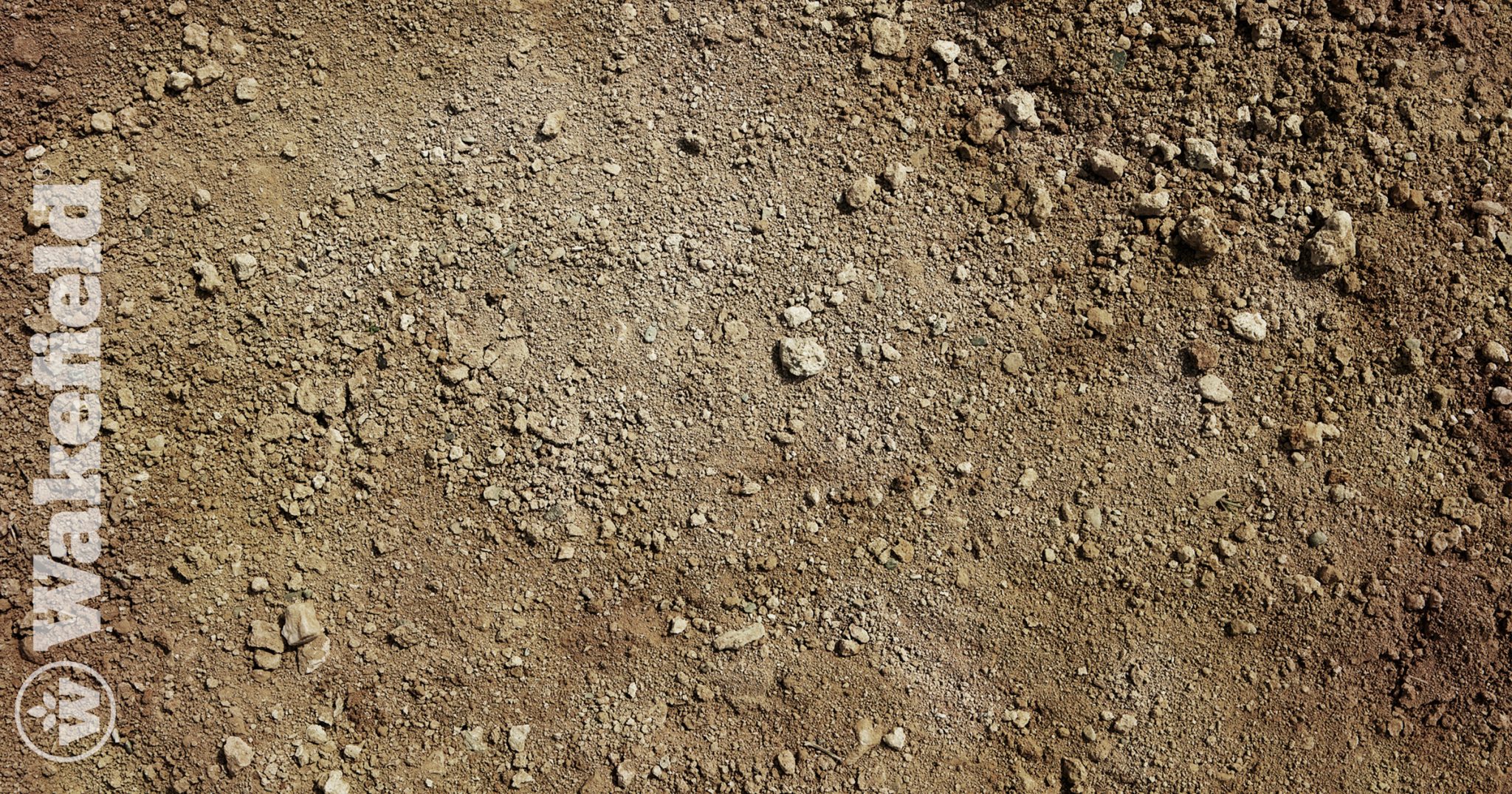 Sandy Soil Conditions - Wakefield BioChar
