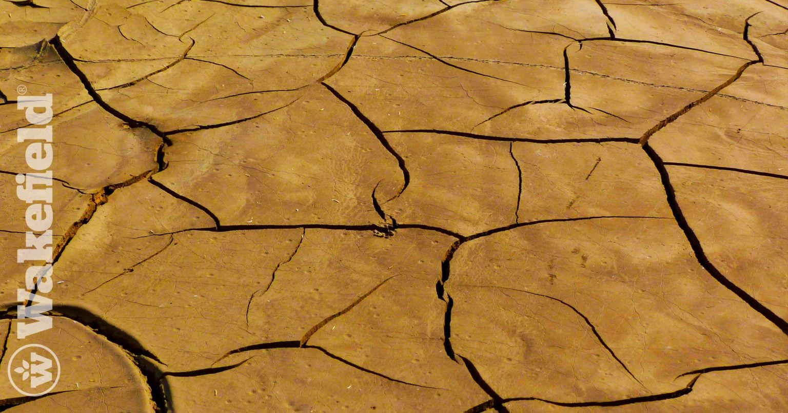 Silty Soil Conditions - Wakefield BioChar