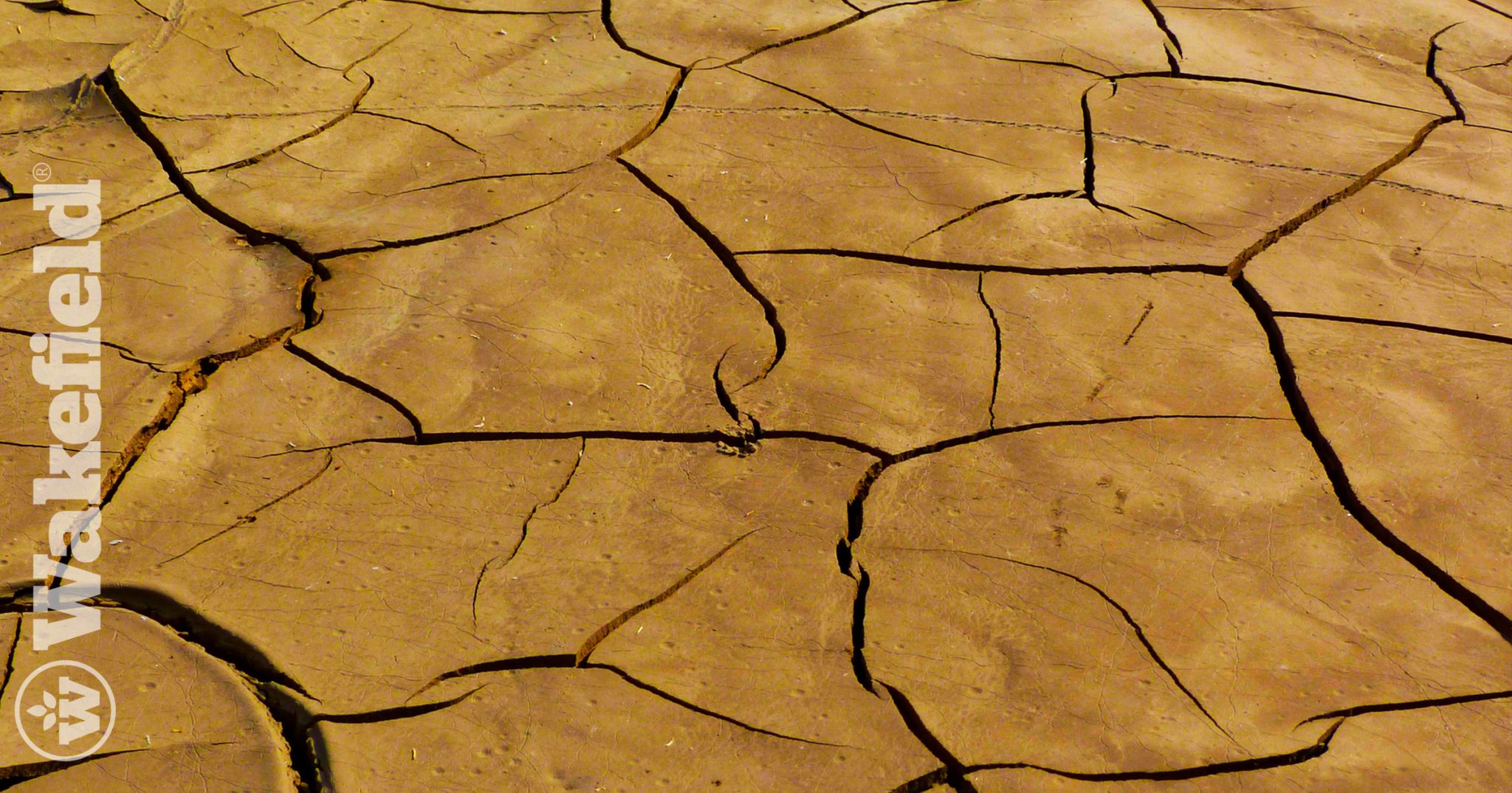 Silty Soil Conditions - Wakefield BioChar