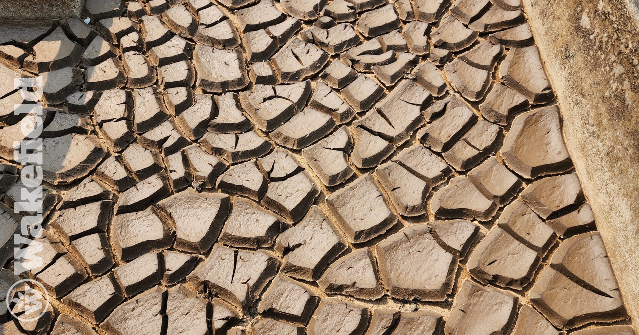Silty Soil Conditions - Wakefield BioChar
