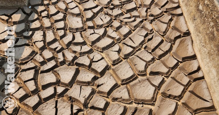 Silty Soil Conditions - Wakefield BioChar
