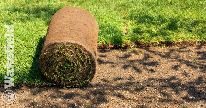 How to use Biochar for Turf Management - Wakefield BioChar