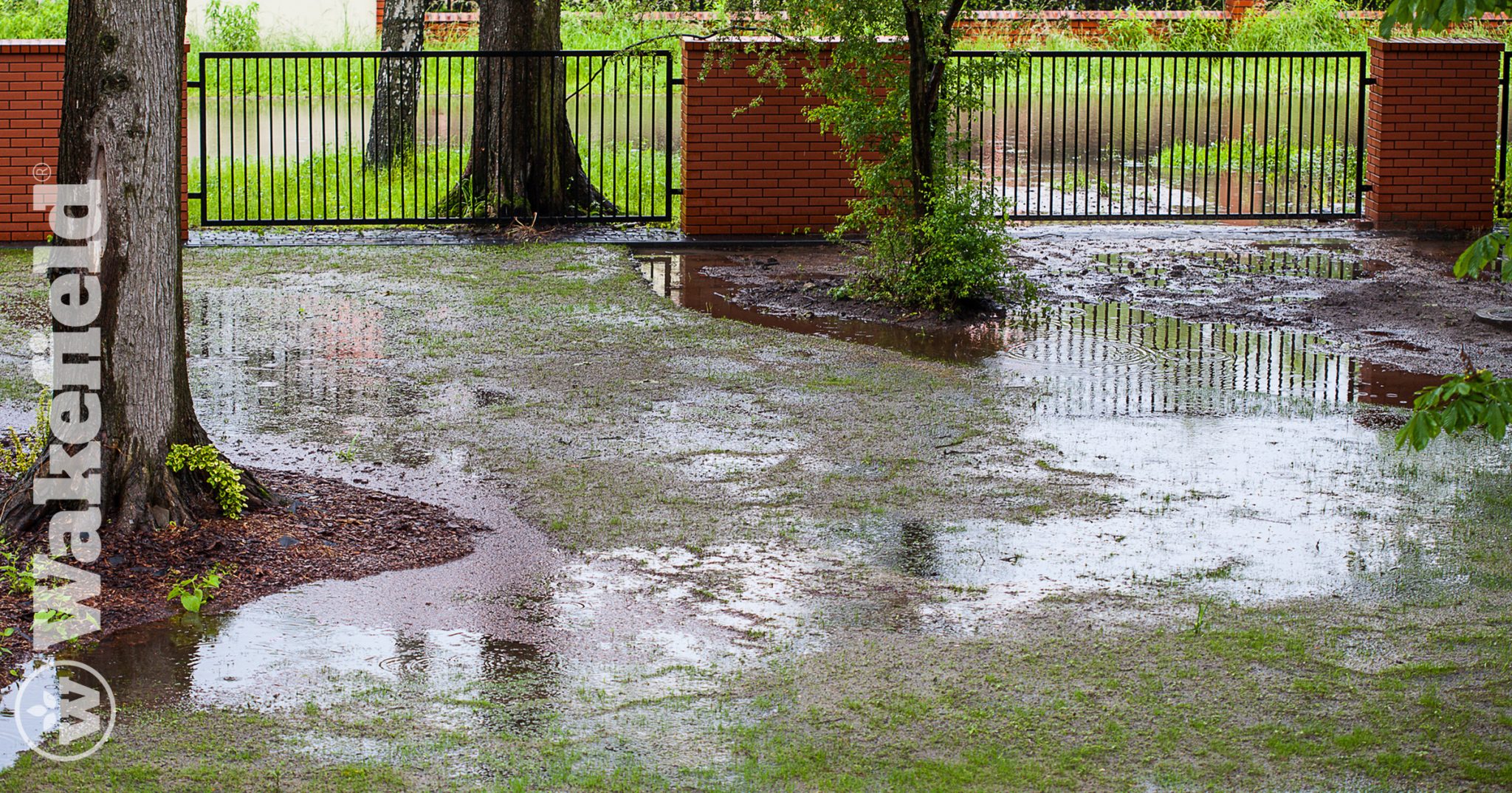 How Biochar Can Help Waterlogged Plants Thrive - Wakefield BioChar