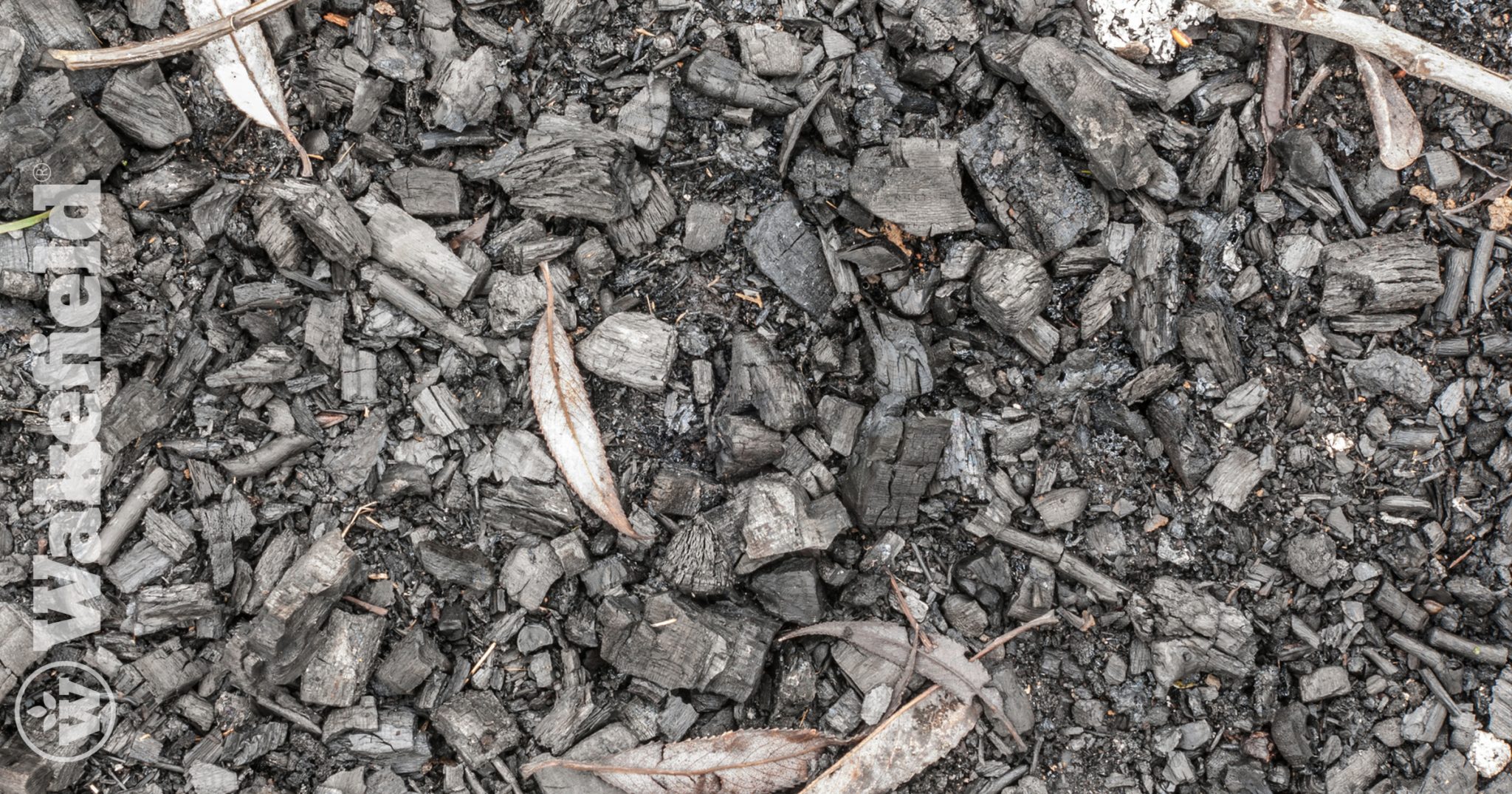 What is Pyrolysis? - Wakefield BioChar