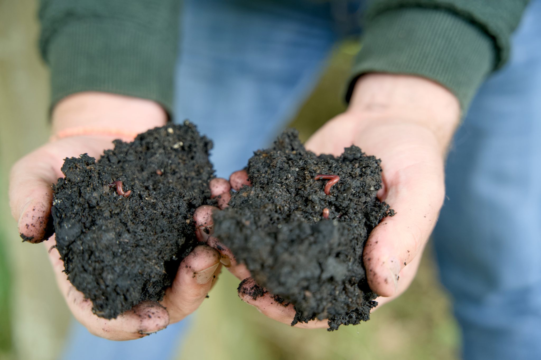 The History of Biochar: A 20-Year Timeline of Soil Innovation ...